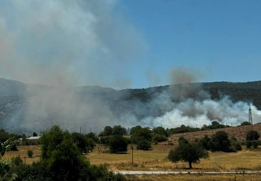 Φωτιά στην Πεδινή Ιωαννίνων – Άμεση επέμβαση της Πυροσβεστικής - EpirusPost